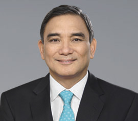 Ramoncito S. Fernandez - Metro Pacific Investments Corporation