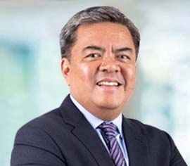 Rodolfo G. Del Rosario, Jr. - Metro Pacific Investments Corporation